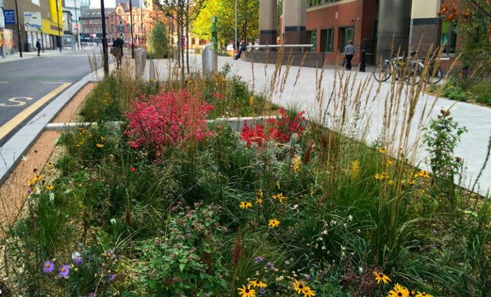 Project • 15 Minute Neighbourhoods - Upton Lane improvements