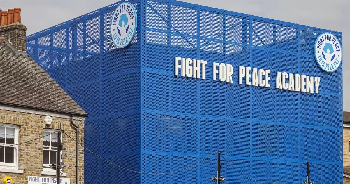 Input: Fight for Peace: Operation Peace Hub
